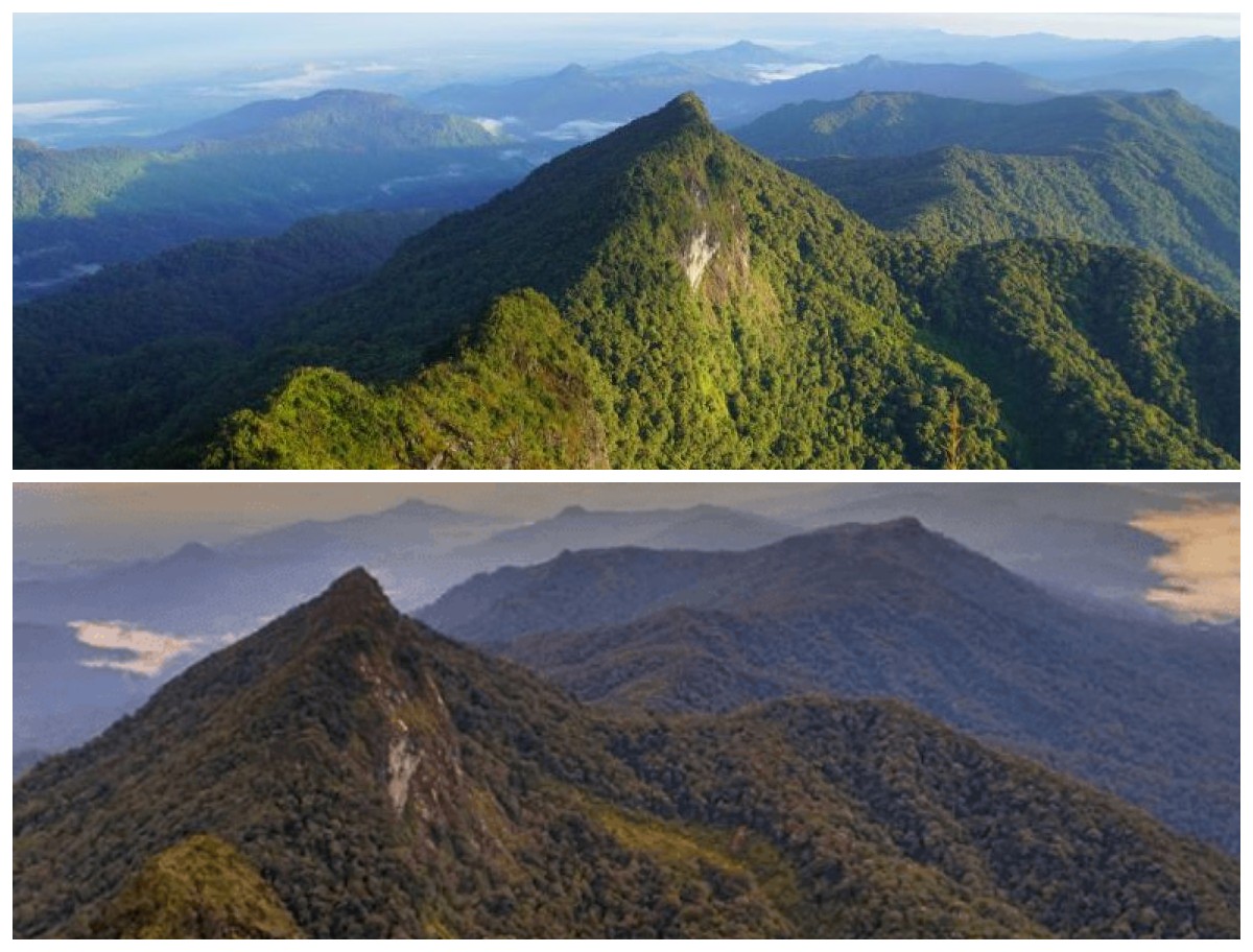 Menelusuri Sejarah Gunung Halau-Halau: Menjelajahi Puncak Tertinggi ...