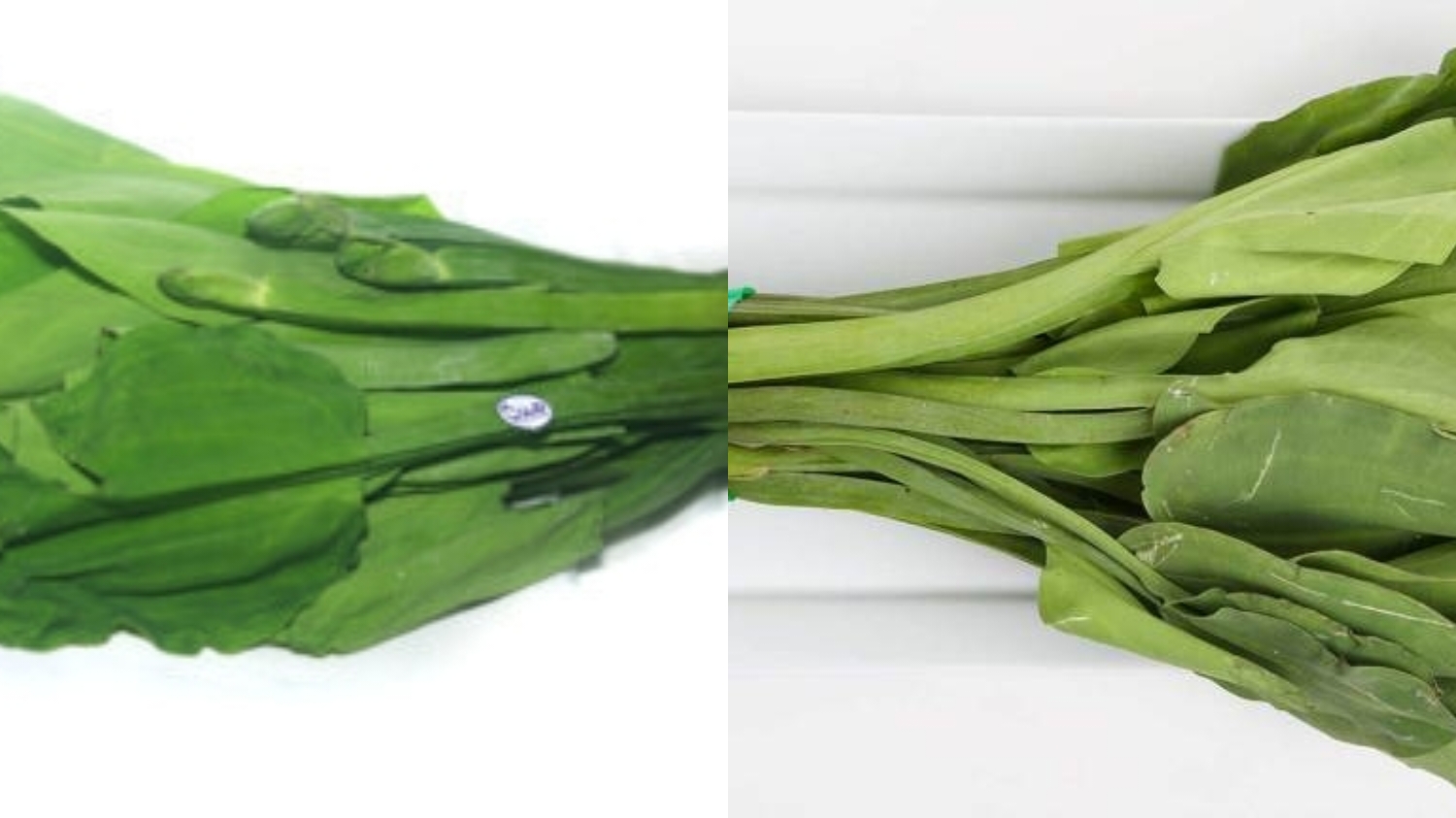 Mencegah Anemia Teryata Inilah Manfaat Dari Daun Genjer Yang Harus ...