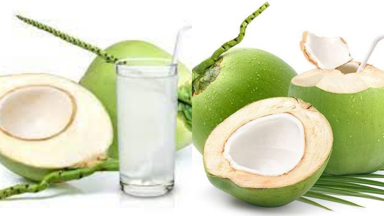 8 Manfaat Air Kelapa Muda untuk Kesehatan: Mencegah Dehidrasi Hingga Membuat Kulit Awet Muda