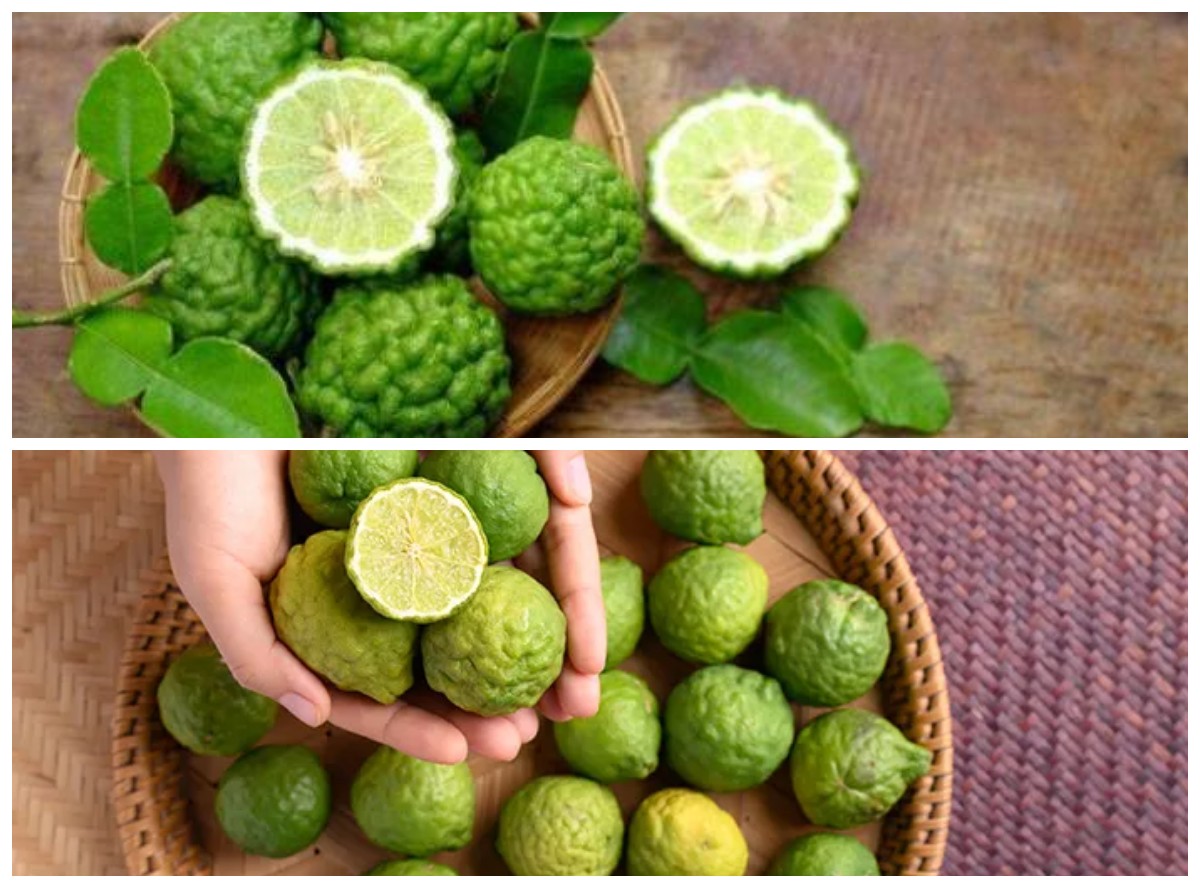 Segudang Manfaat Buah Limus bagi Kesehatan Tubuh: Dari Antioksidan ...