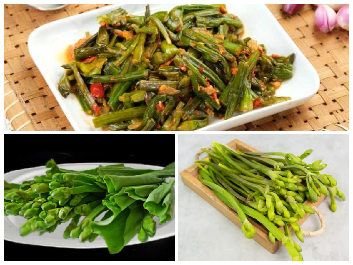 8 Manfaat dan Khasiat Sayur Genjer untuk Kesehatan Tubuh yang Jarang ...