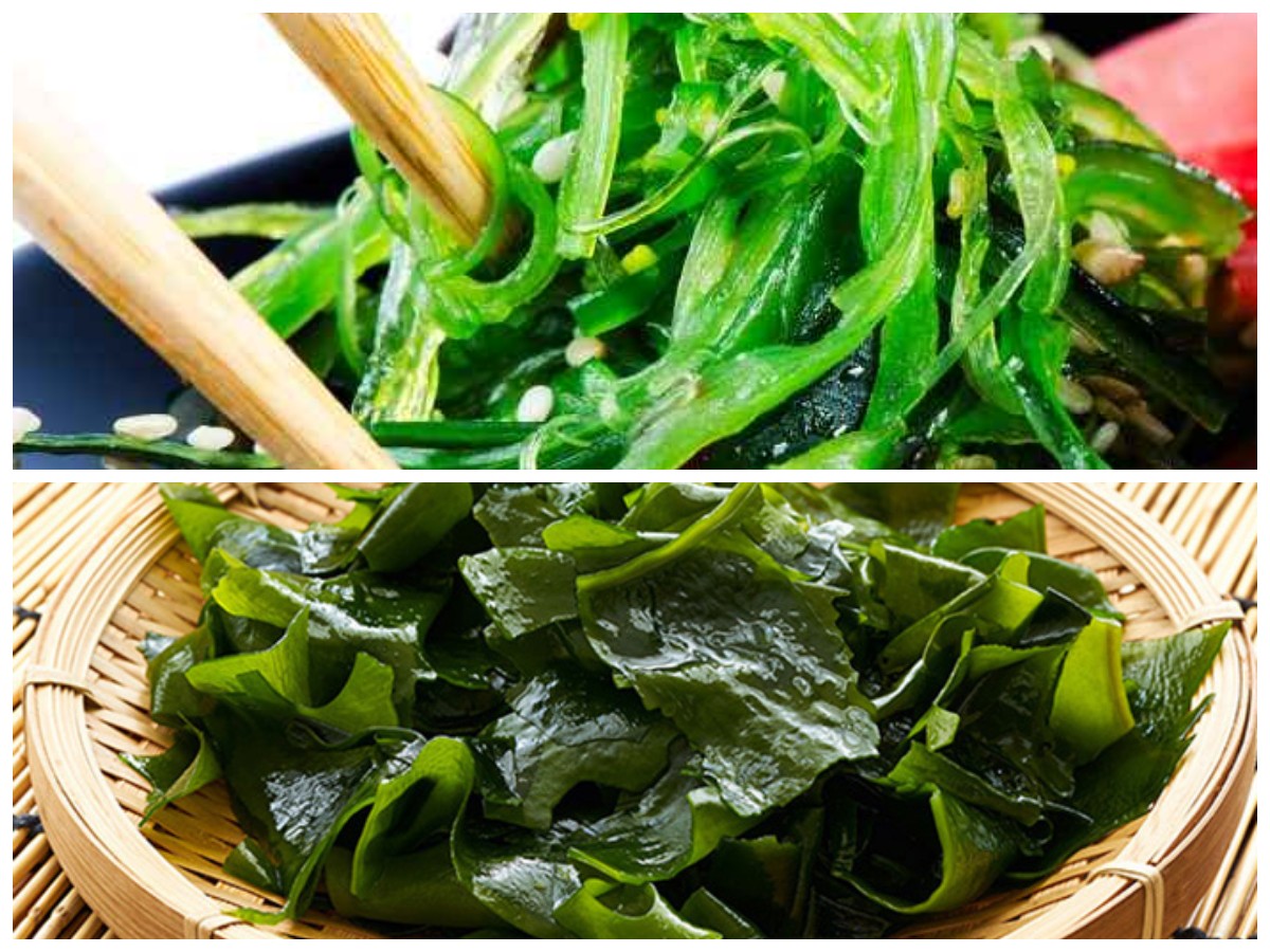 Segudang Manfaat Rumput Laut yang Perlu Kamu Ketahui untuk Kesehatan Tubuh!