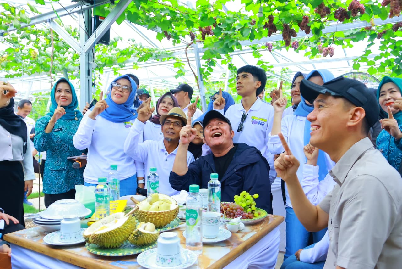 Herman Deru Apresiasi Kebun Anggur Viral, Gubernur : Bisa Jadi Peluang ...