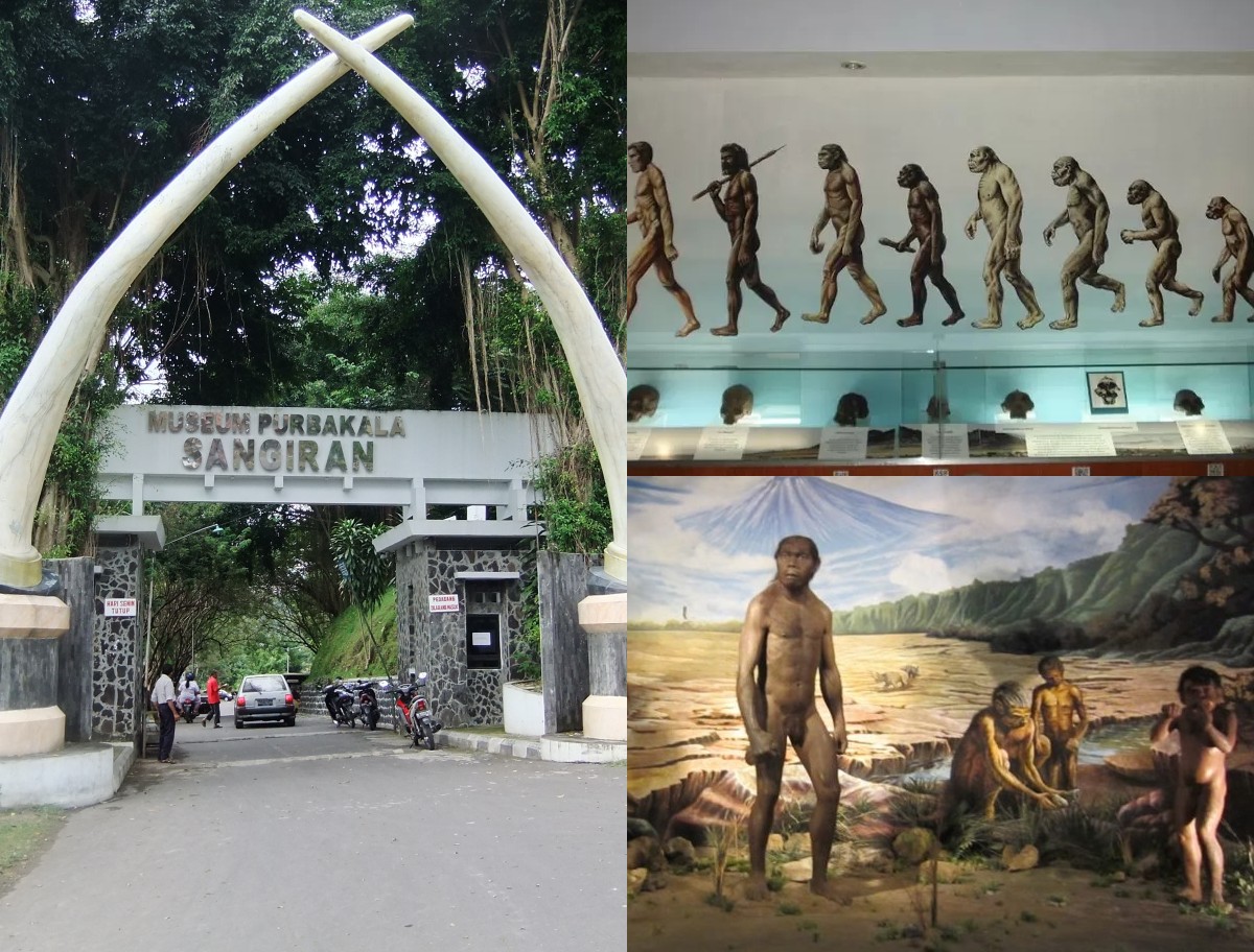 Memahami Lebih Dalam Museum Purbakala Sangiran: Jejak Manusia Purba di ...