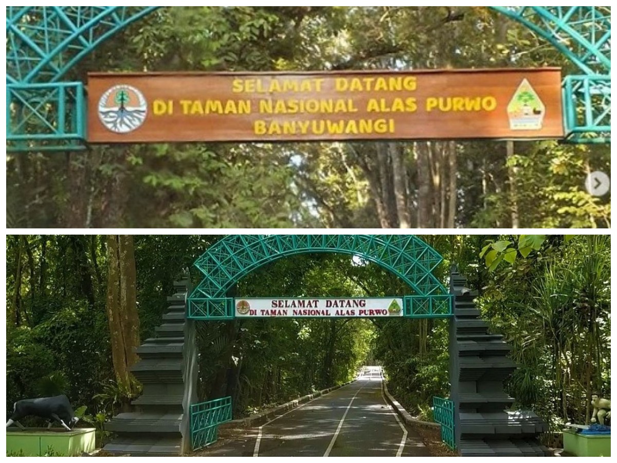 Taman Nasional Alas Purwo: Menyelami Keindahan Alam dan Kekayaan ...