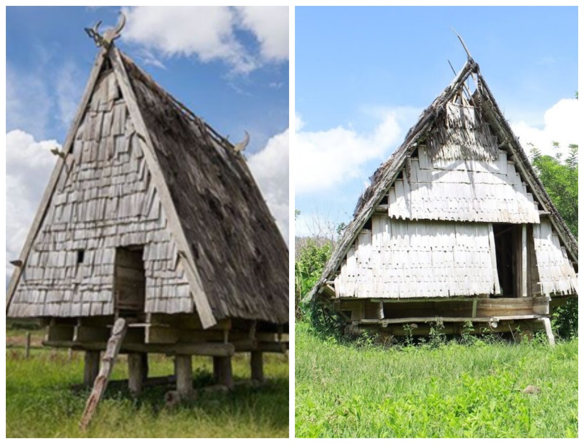 Sejarah Sulawesi Tengah: Rumah Tambi, Warisan Arsitektur Leluhur yang ...