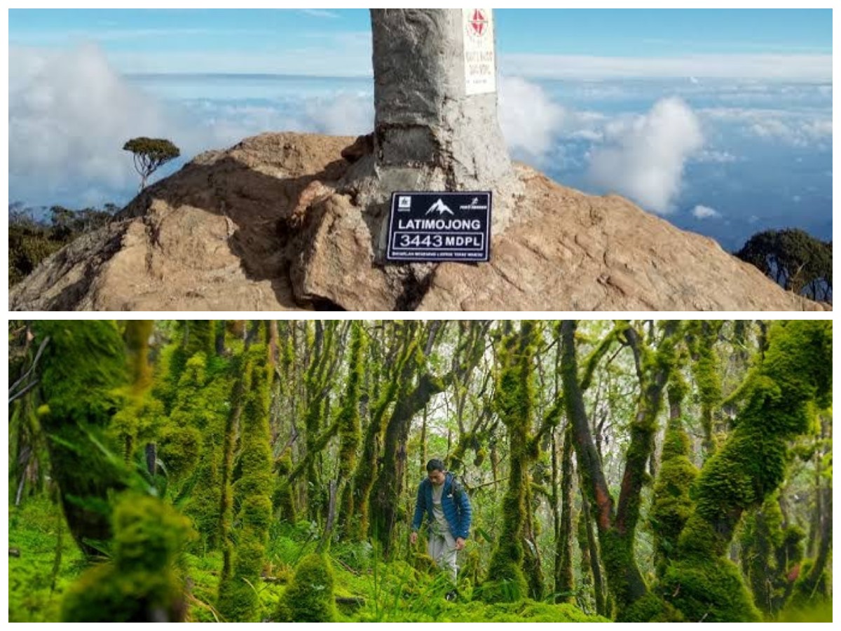 Keindahan Alam Gunung Latimojong: Destinasi Wajib Bagi Pecinta Petualangan