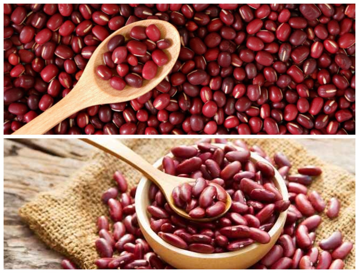 Manfaat Kacang Merah bagi Kesehatan Tubuh: Sumber Gizi Alami yang Kaya ...