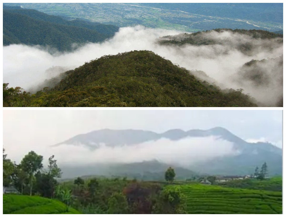 Sejarah Gunung Perkison: Jejak Alam dan Legenda di Jantung Aceh Tenggara!