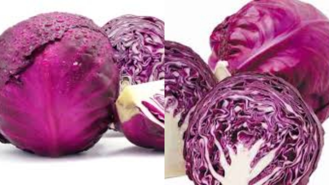 10 Manfaat Kol Ungu Bagi Kesehatan Tubuh Yang Perlu Kalian Tahu!