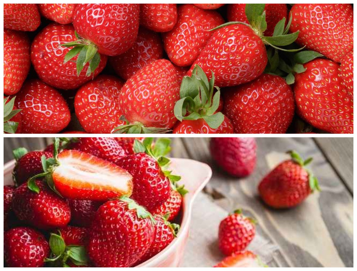 Manfaat Strawberry bagi Kesehatan Tubuh: Buah Merah yang Kaya Nutrisi ...