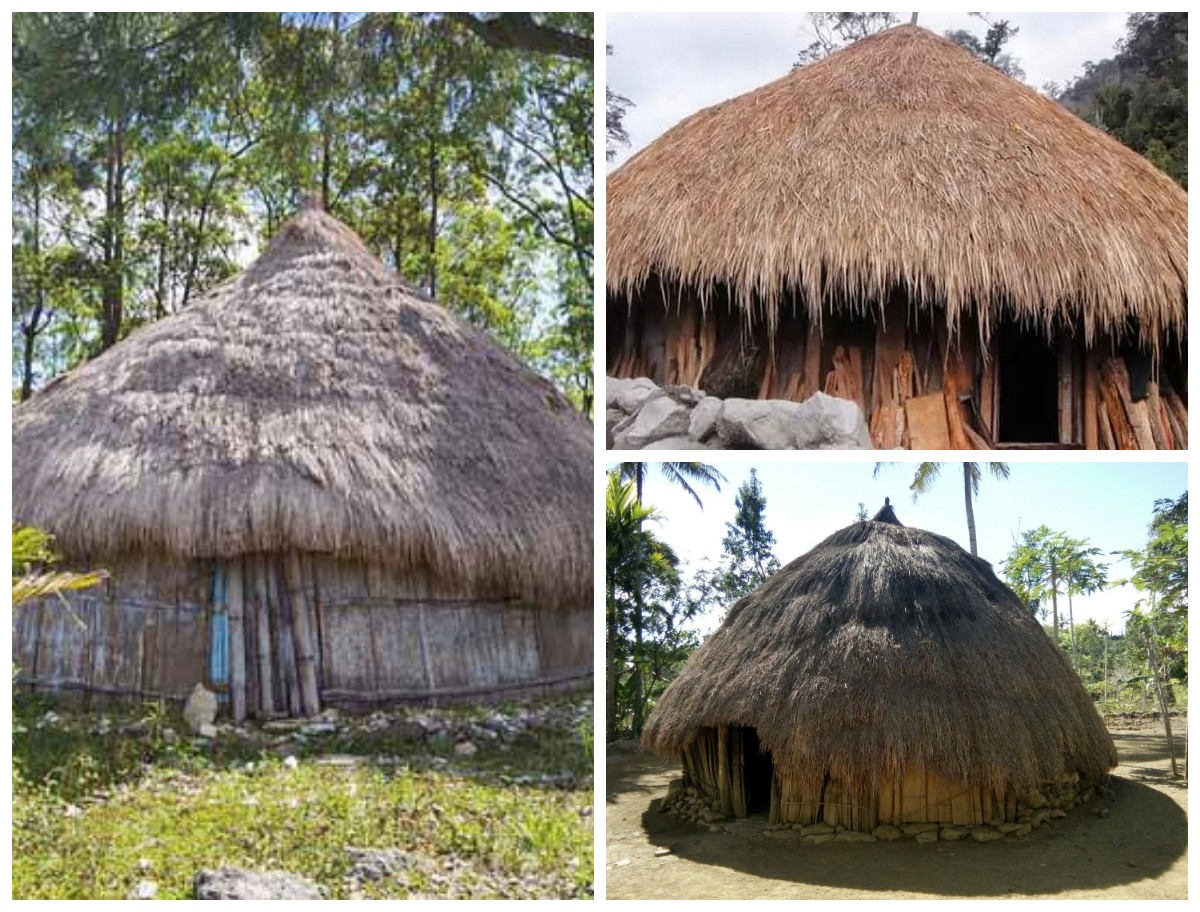 Memahami Sejarah Rumah Lopo: Warisan Arsitektur Masyarakat Timor!