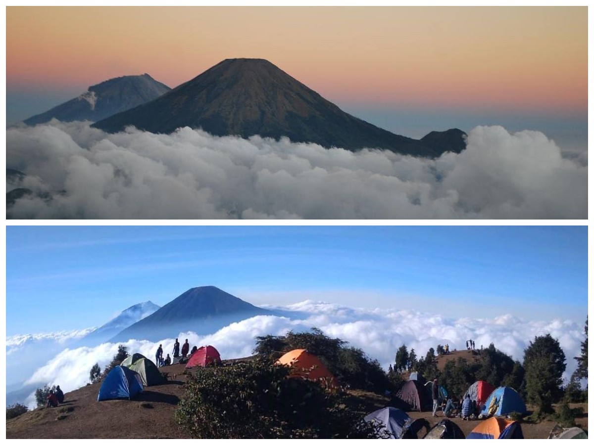 6 Fakta Menarik Gunung Prau: Keindahan Tersembunyi dan Jejak Sejarah di ...