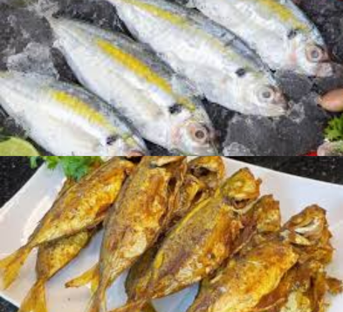 Rahasia Ikan Selar, Si Kecil dari Laut yang Kaya Nutrisi Baik untuk ...