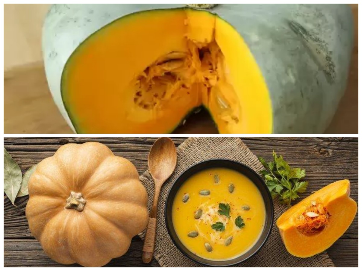 Manfaat Labu Kuning untuk Mengatasi Asam Lambung: Solusi Alami untuk ...