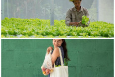 Menelusuri Sejarah Nekara Perunggu: Warisan Megah dari Zaman Perundagian!